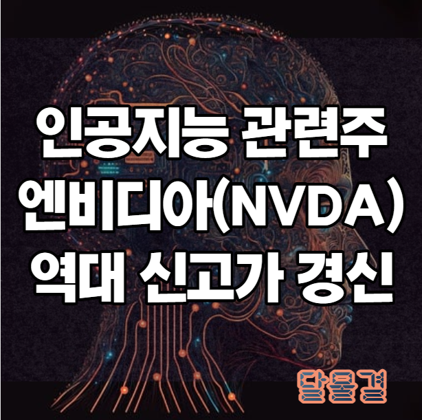 인공지능 관련주 엔비디아(NVDA) 실적 호조, 장외 역대 신고가 갱신 - 플팍스(plpax)