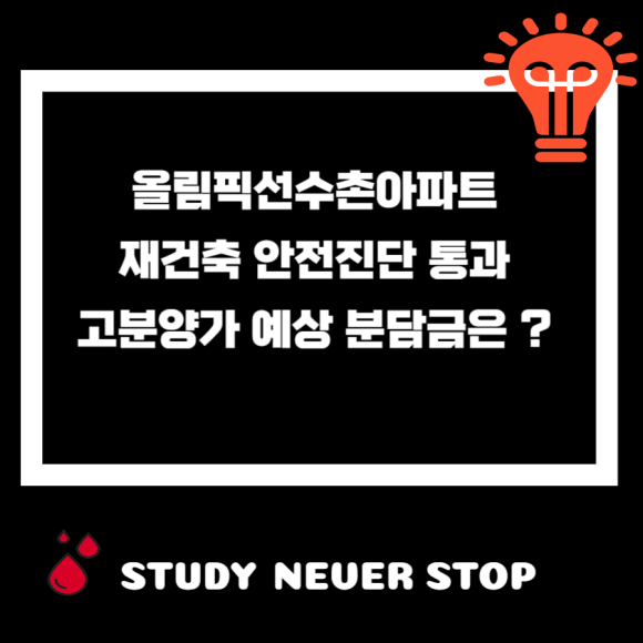 올림픽선수촌아파트 재건축 안전진단통과 미래 분담금 분석 - 플팍스(plpax)
