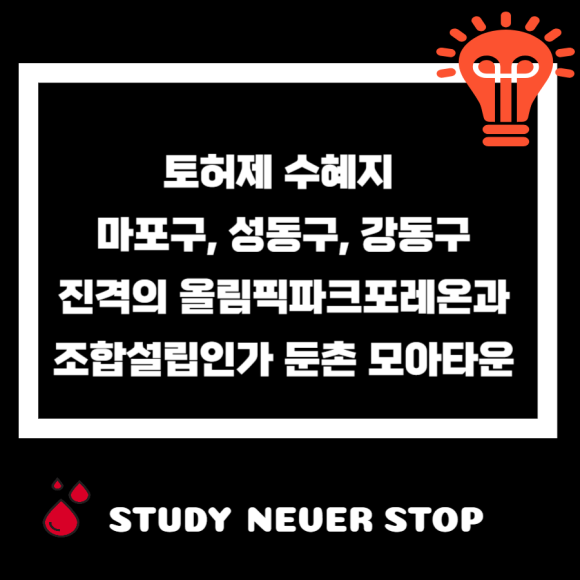 토허제 수혜지 강동구 둔촌동 올림픽파크포레온 모아타운 - 플팍스(plpax)