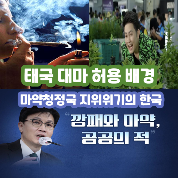 태국 대마 허용 배경과 우리나라의 마약청정국 지위의 위기 - 플팍스(plpax)