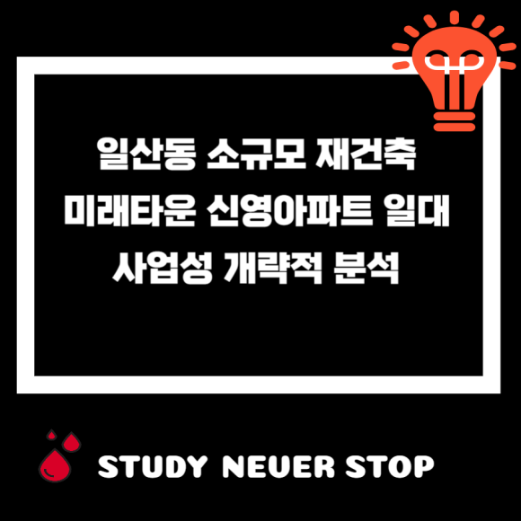 일산동 미래타운 사업구역 사업성 분석 - 플팍스(plpax)