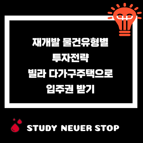 재개발 물건유형별 투자전략 빌라 다가구주택으로 입주권 받기 - 플팍스(plpax)