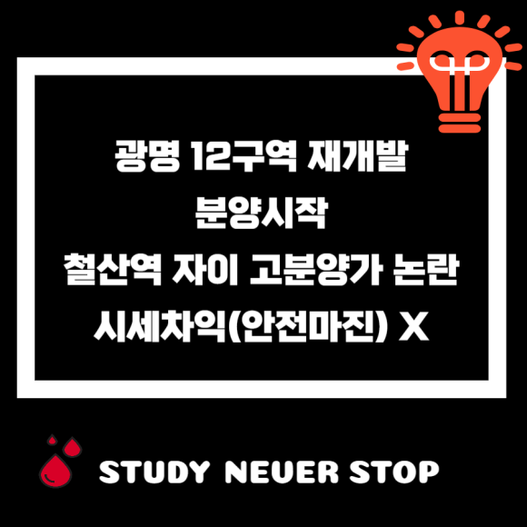 광명 철산역 자이 청약시작 서울보다 높은 분양가 논란 시세차익 X - 플팍스(plpax)