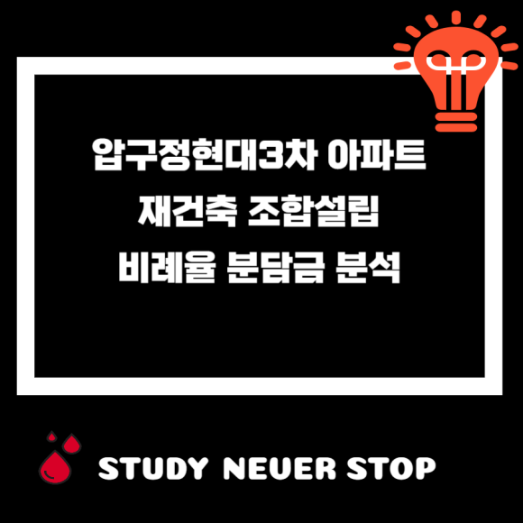 압구정현대3차 재건축 조합설립 비례율 분담금 분석 - 플팍스(plpax)