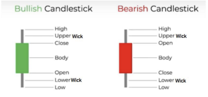 기술적 분석(1) - 캔들의 기초 (ft. 차트 보는법, 캔들 종류) - 플팍스(plpax)