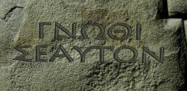 셀프 메타인지 테스트 (ft. 본인에 대해 얼마나 잘 알고 있나요?) - 플팍스(plpax)