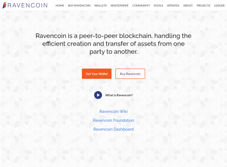 레이븐 코인 마케팅 코인 아님을 선언 - 플팍스(plpax)