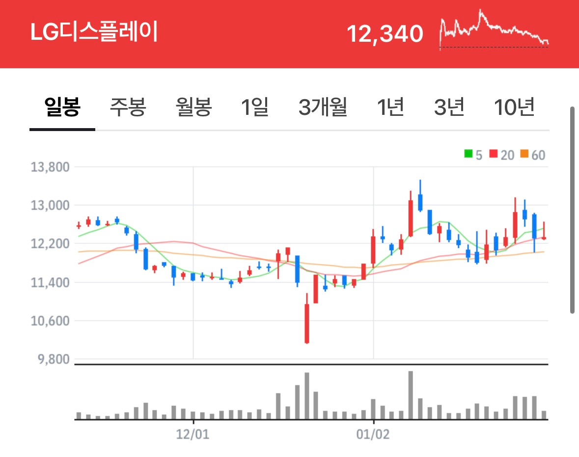 LG디스플레이 실적발표 - 플팍스(plpax)