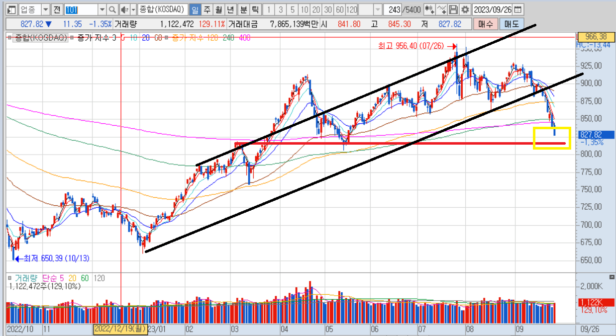 주식급등 긴급점검 코스닥 - 플팍스(plpax)
