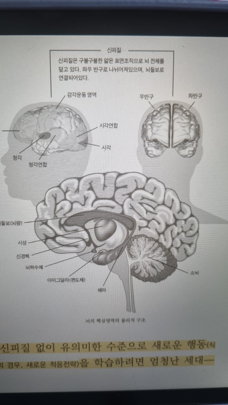 [서평] 마음의 탄생 - 레이 커즈와일 - 플팍스(plpax)