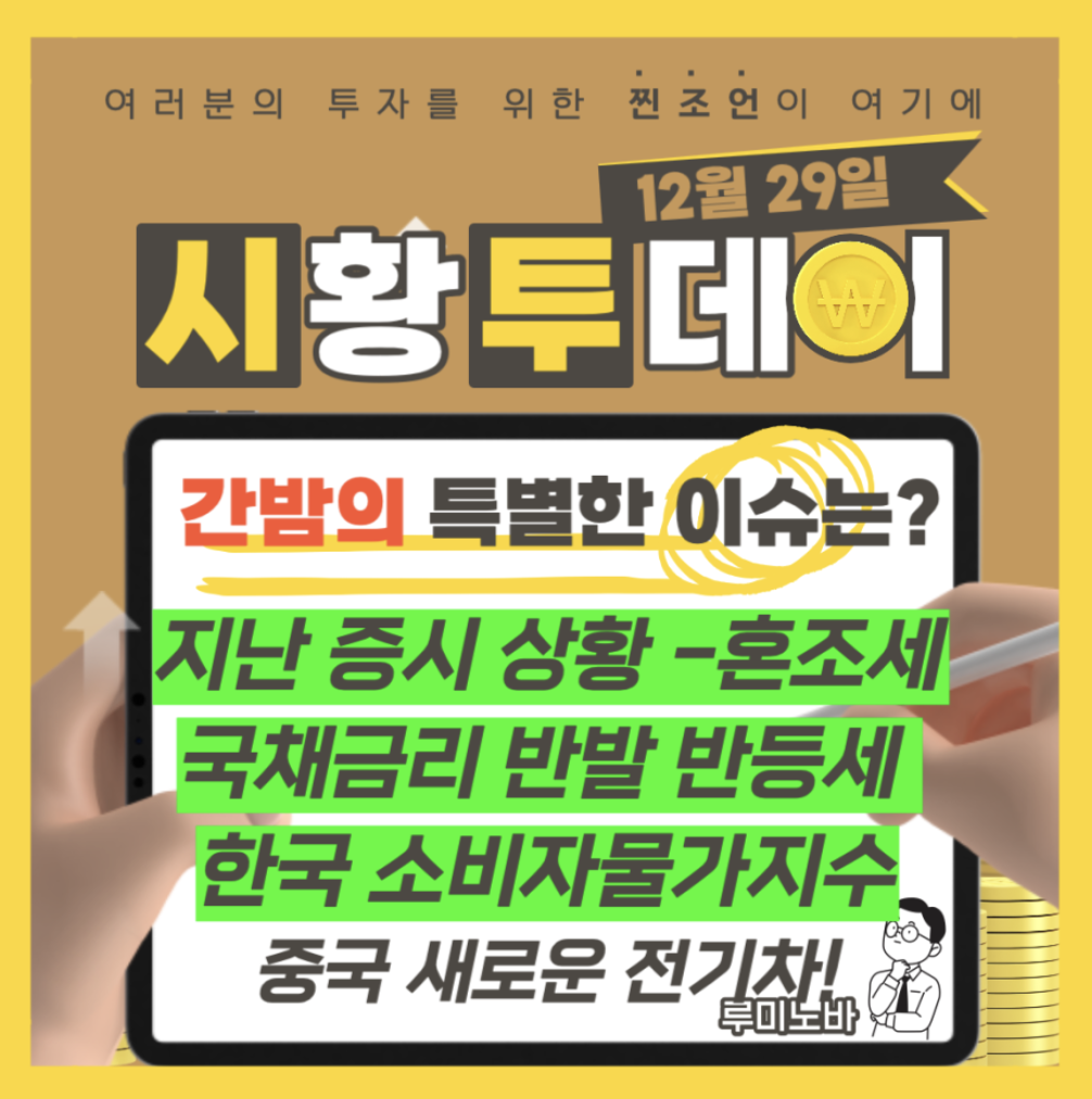 루미노바의 12월 29일 시황투데이 - 플팍스(plpax)