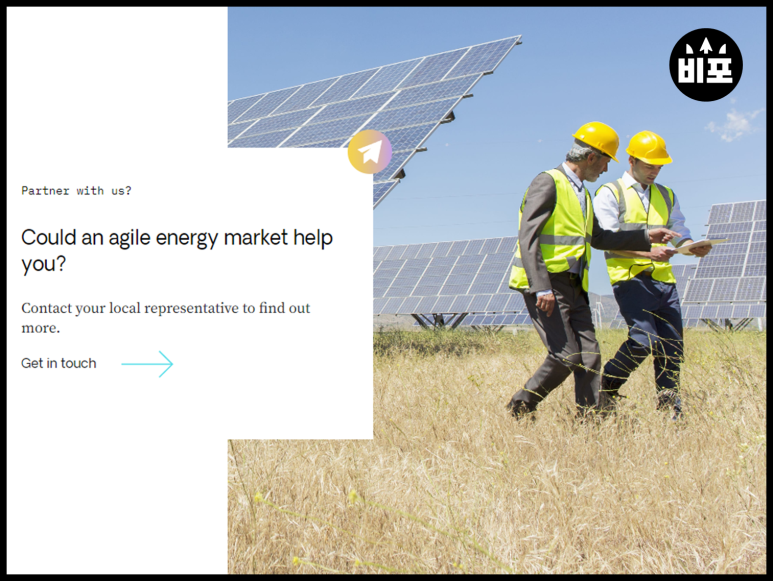 파워렛저 코인 30% 급등 원인 - 플팍스(plpax)