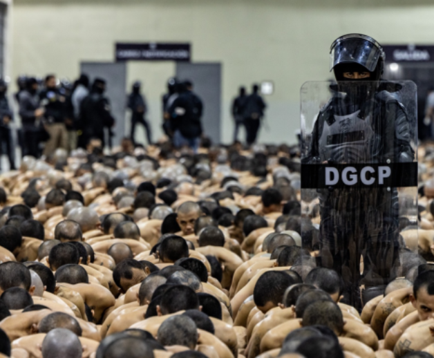 비트코인에 나라의 명운을 건 남자 나이브 부켈레 - 플팍스(plpax)