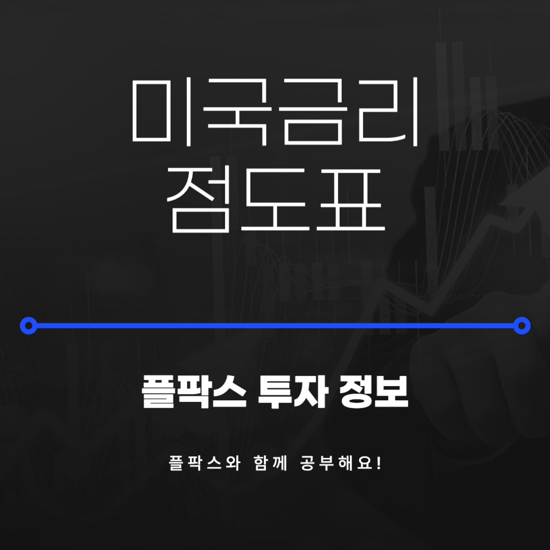 미국금리 점도표 - 플팍스(plpax)