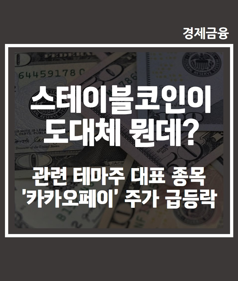 스테이블코인이 뭔데? 관련 테마주 대표 종목 '카카오페이' 주가 급등락. 과거 대체불가능토큰 NFT 광풍의 교훈을 되새기며.. - 플팍스(plpax)