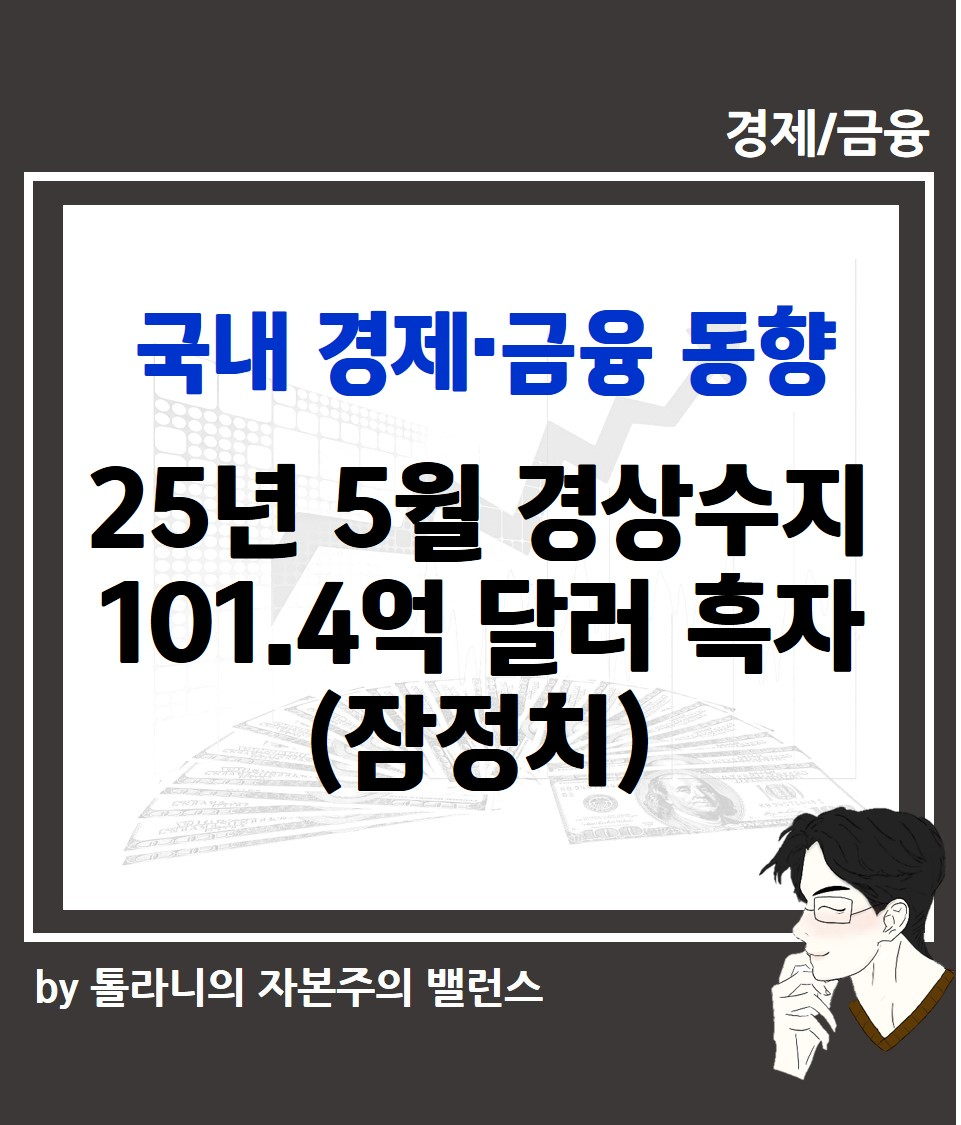 2025년 5월 국제수지 잠정치 - 플팍스(plpax)