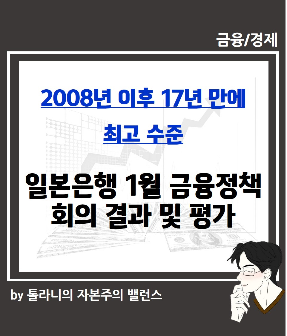 17년만에 최고 수준 일본은행 1월 금융정책회의 결과 및 평가 - 플팍스(plpax)