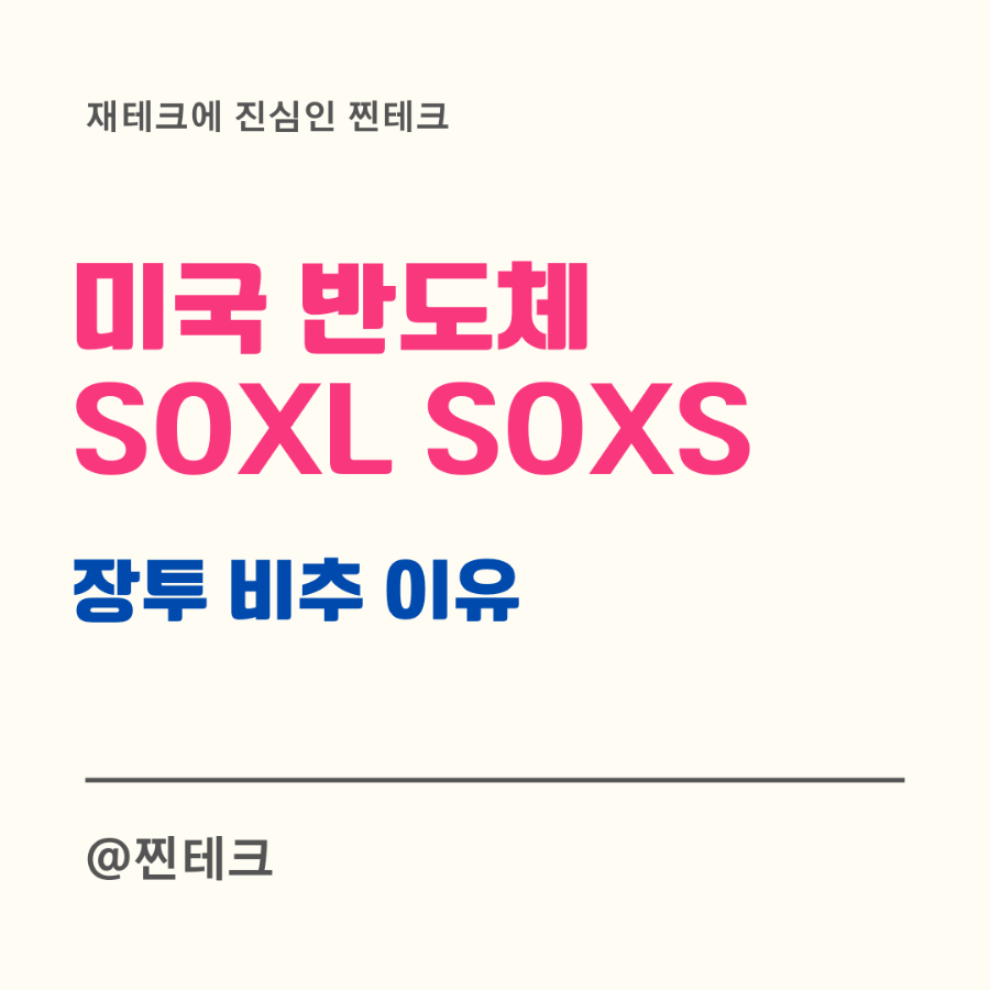 미국 반도체 ETF SOXL SOXS 장기 투자 괜찮나 - 플팍스(plpax)