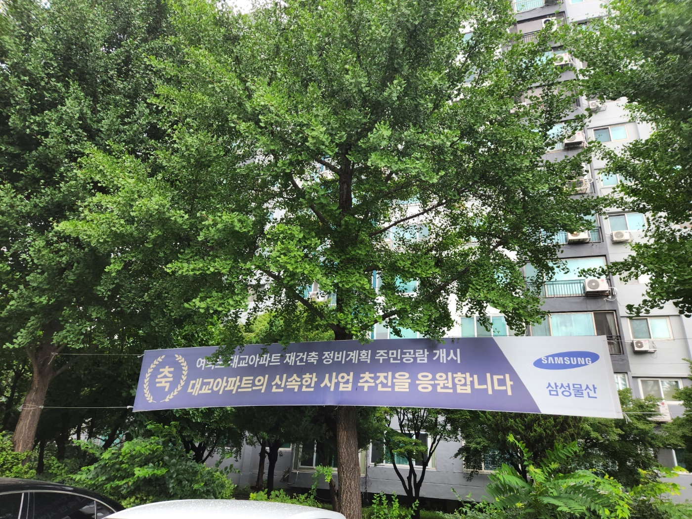 여의도 대교 아파트 재건축 현황 알아보기 - 플팍스(plpax)